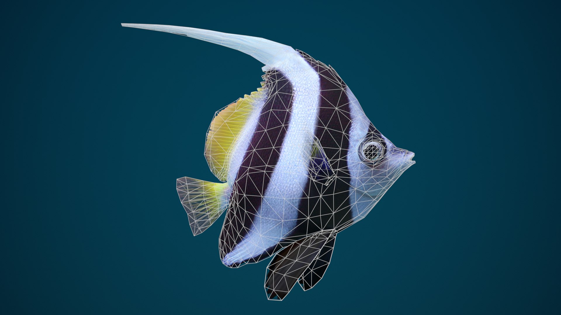 3D Tropical Fish Pack Rigged Animated Fishes Game Ready Aquarium Marine ...