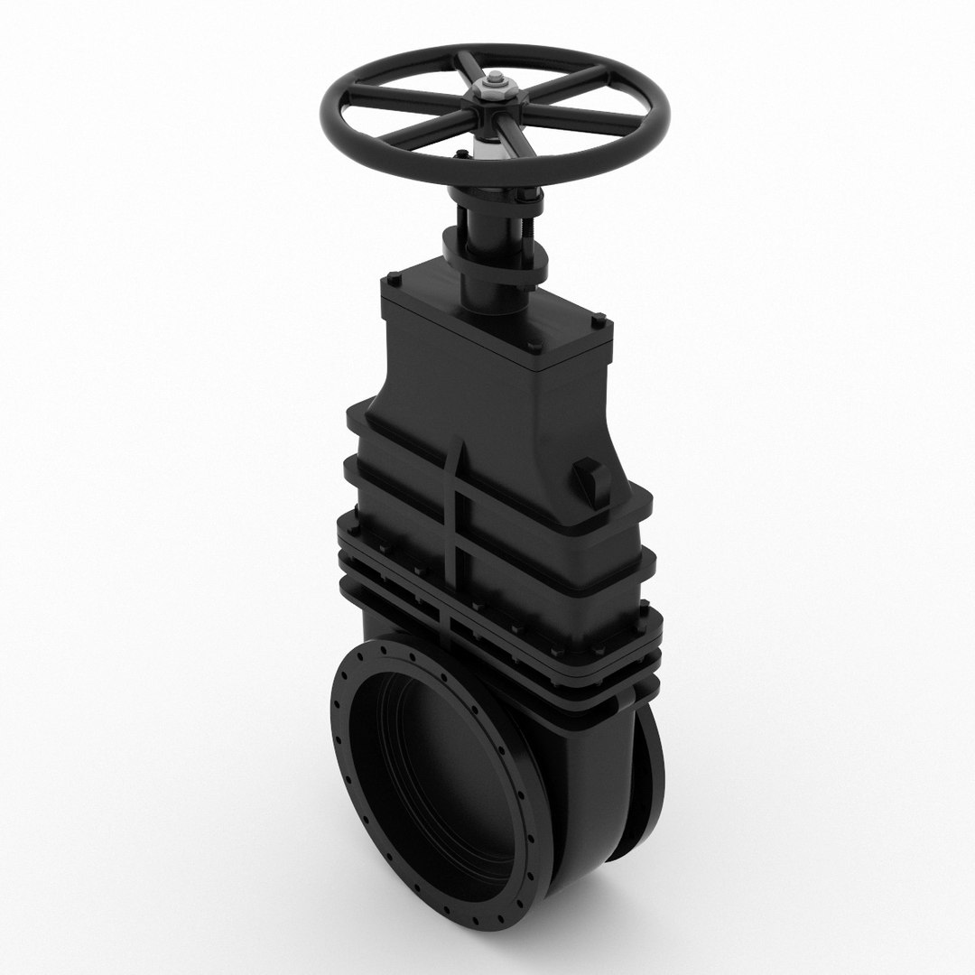 3d Model Of Valves V2
