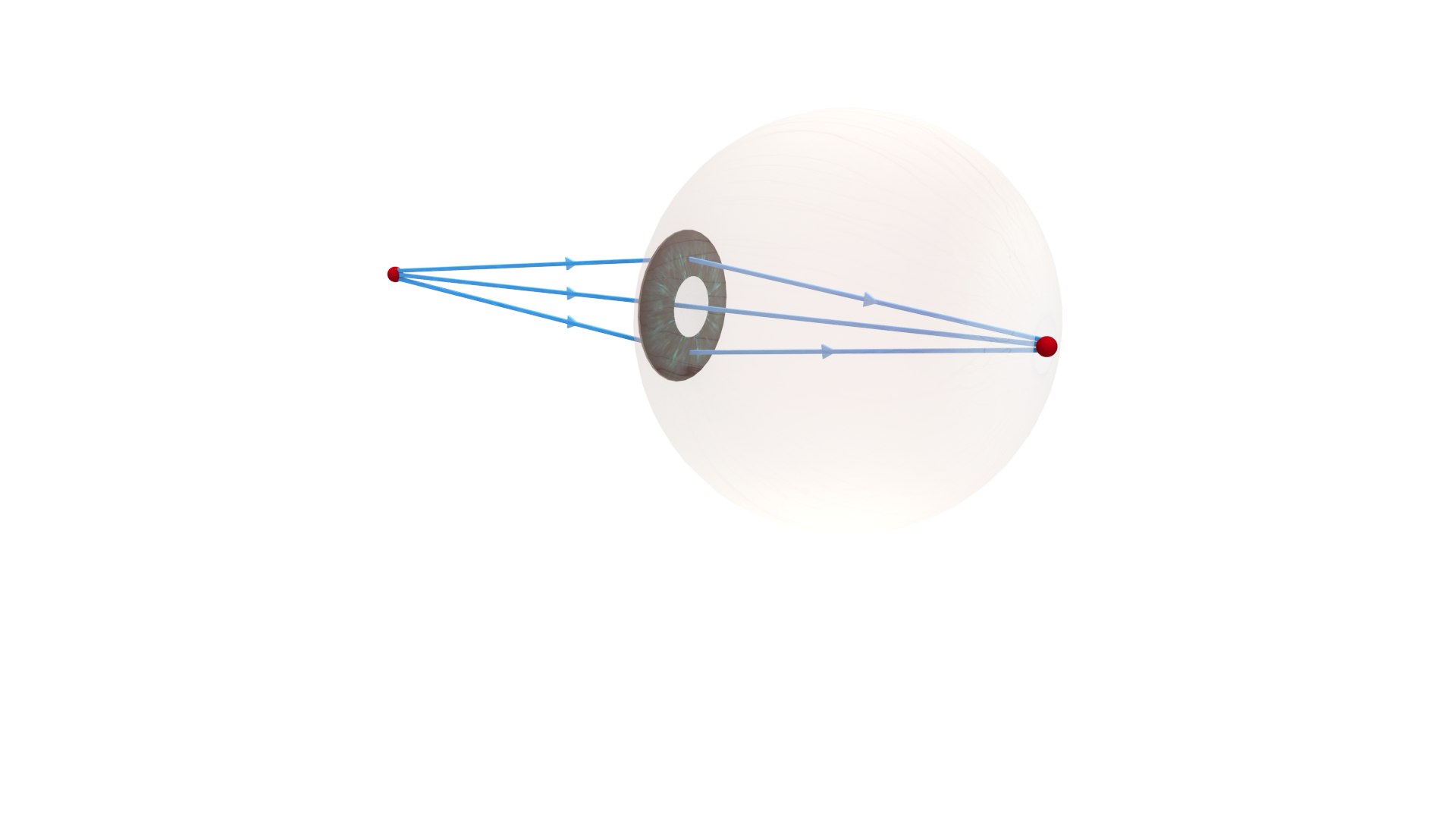 3D Near Point Of Eye - TurboSquid 2139340