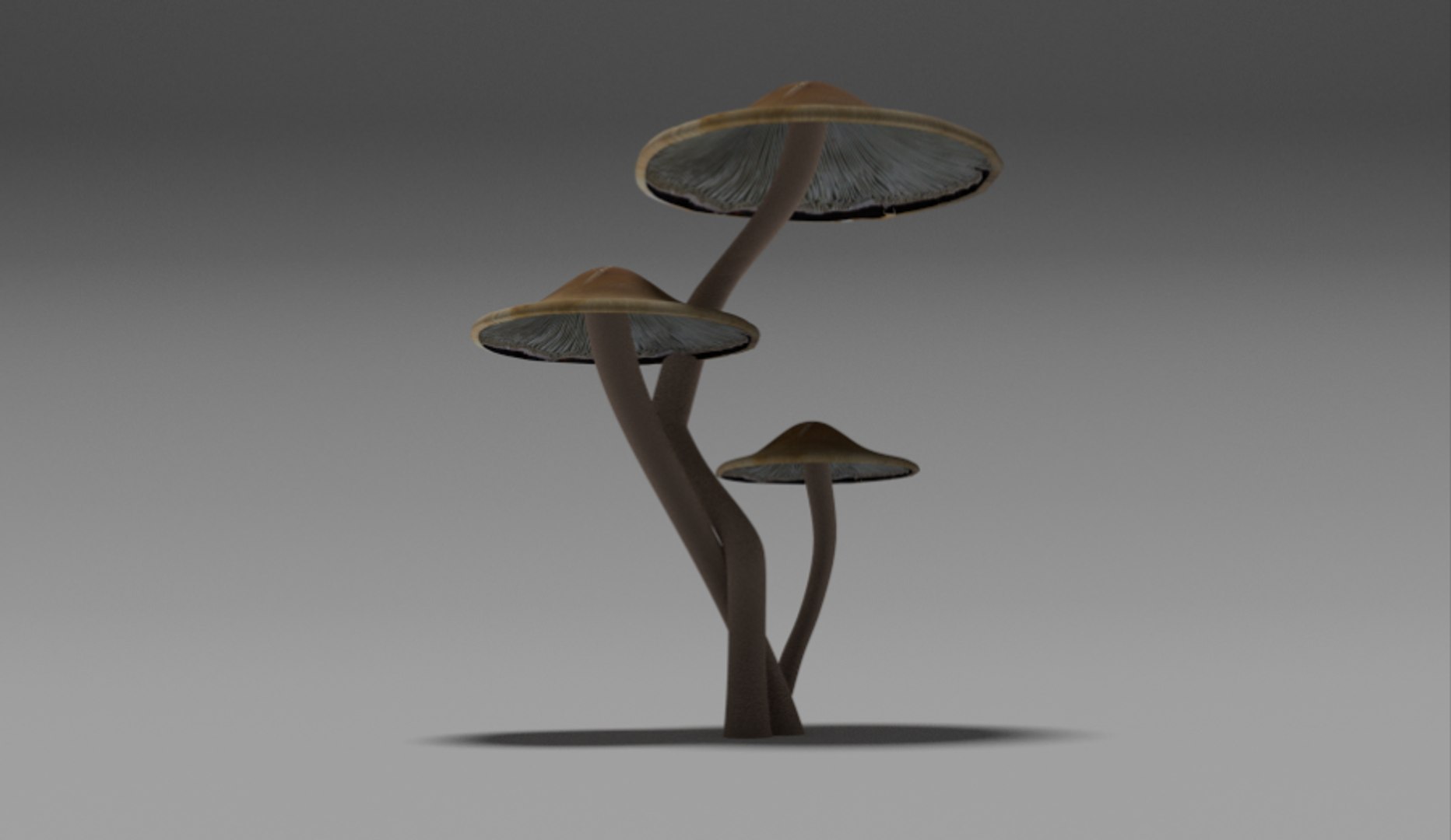 Mushroom 3d Obj