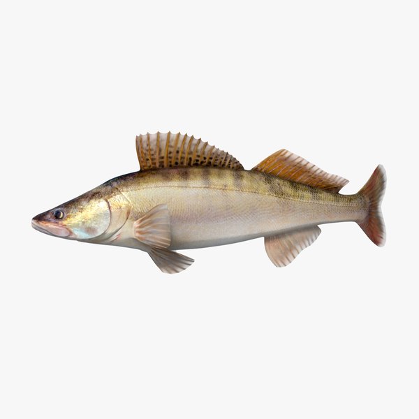 3d model cod animation