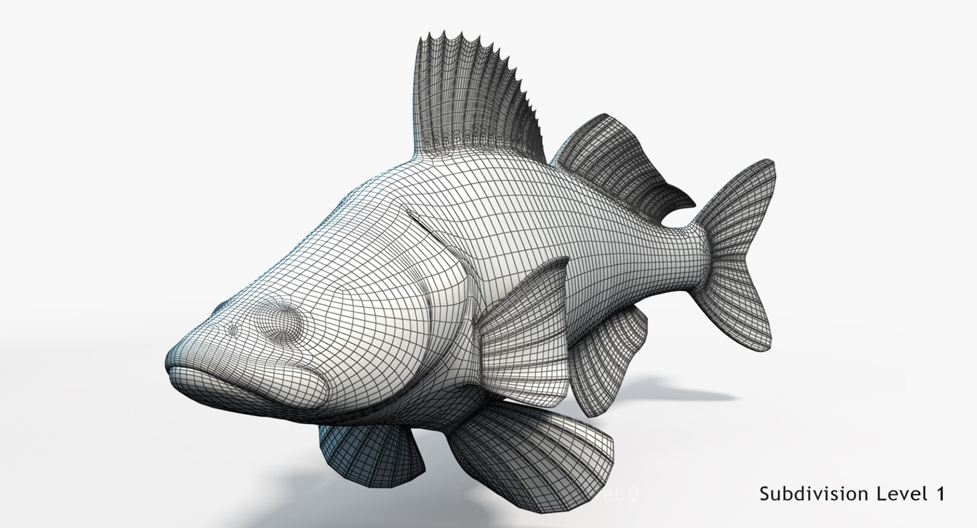 3d model zander fish animation