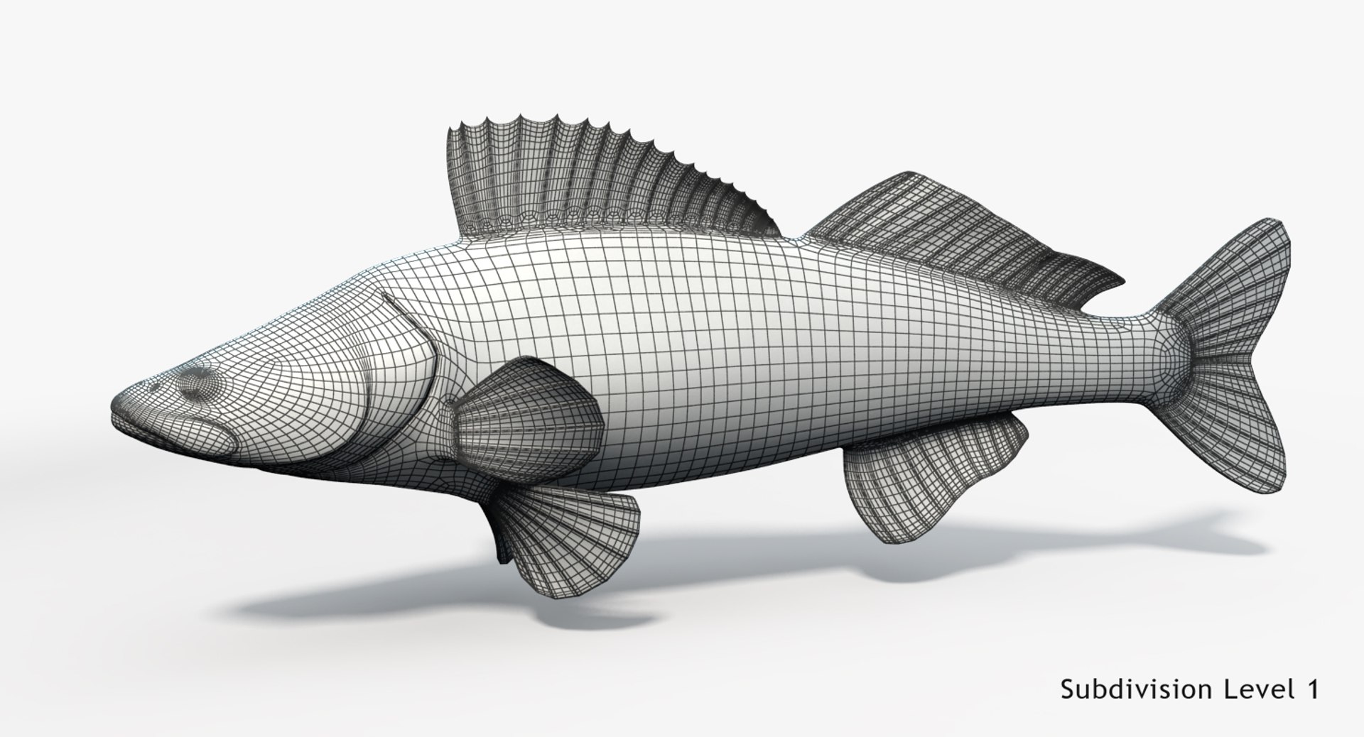 3d model zander fish animation