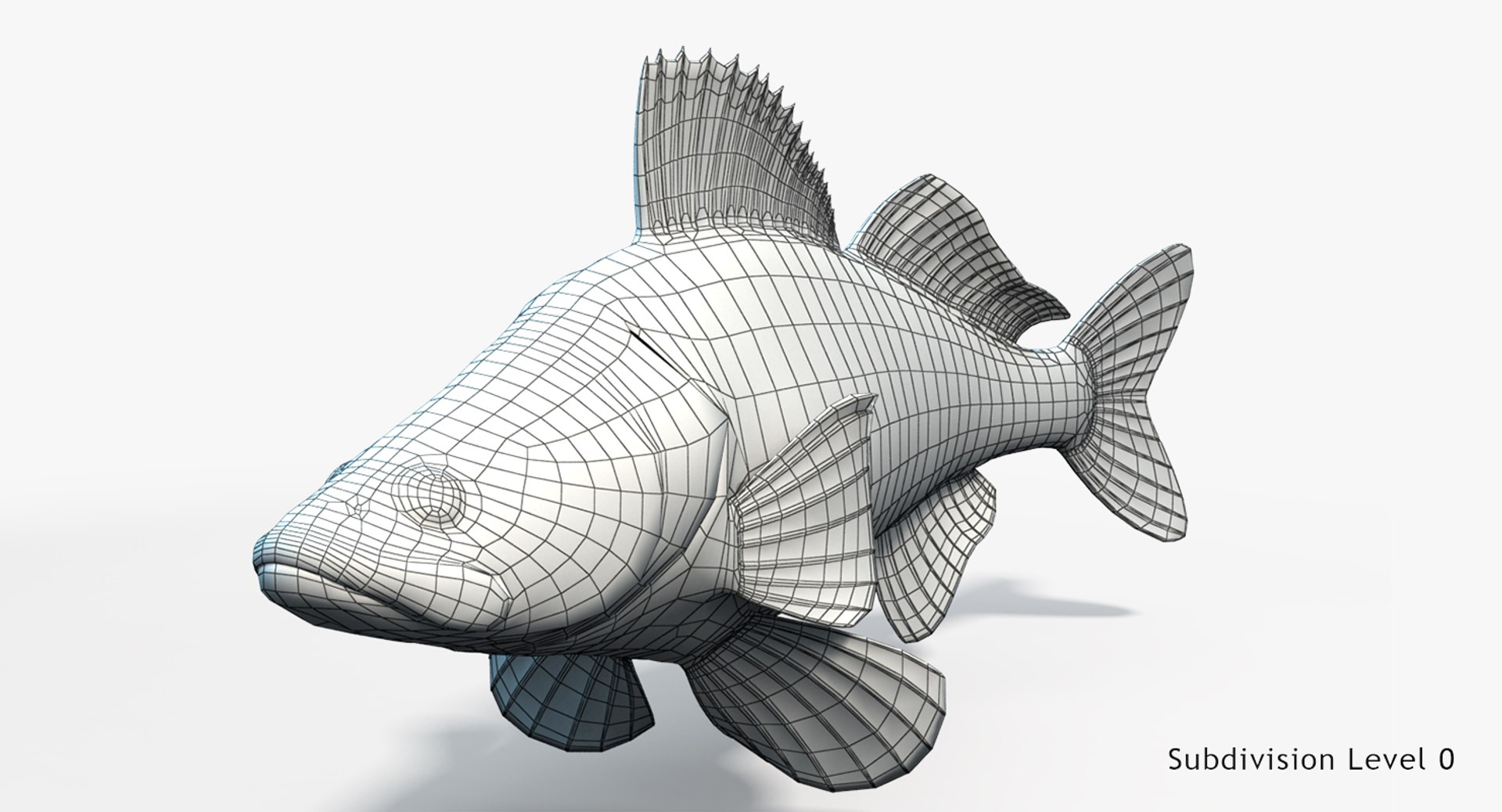 3d model zander fish animation