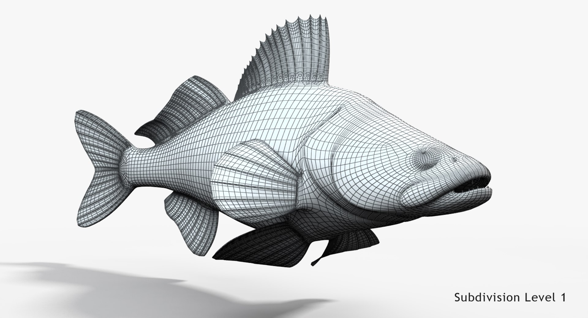 3d model zander fish animation