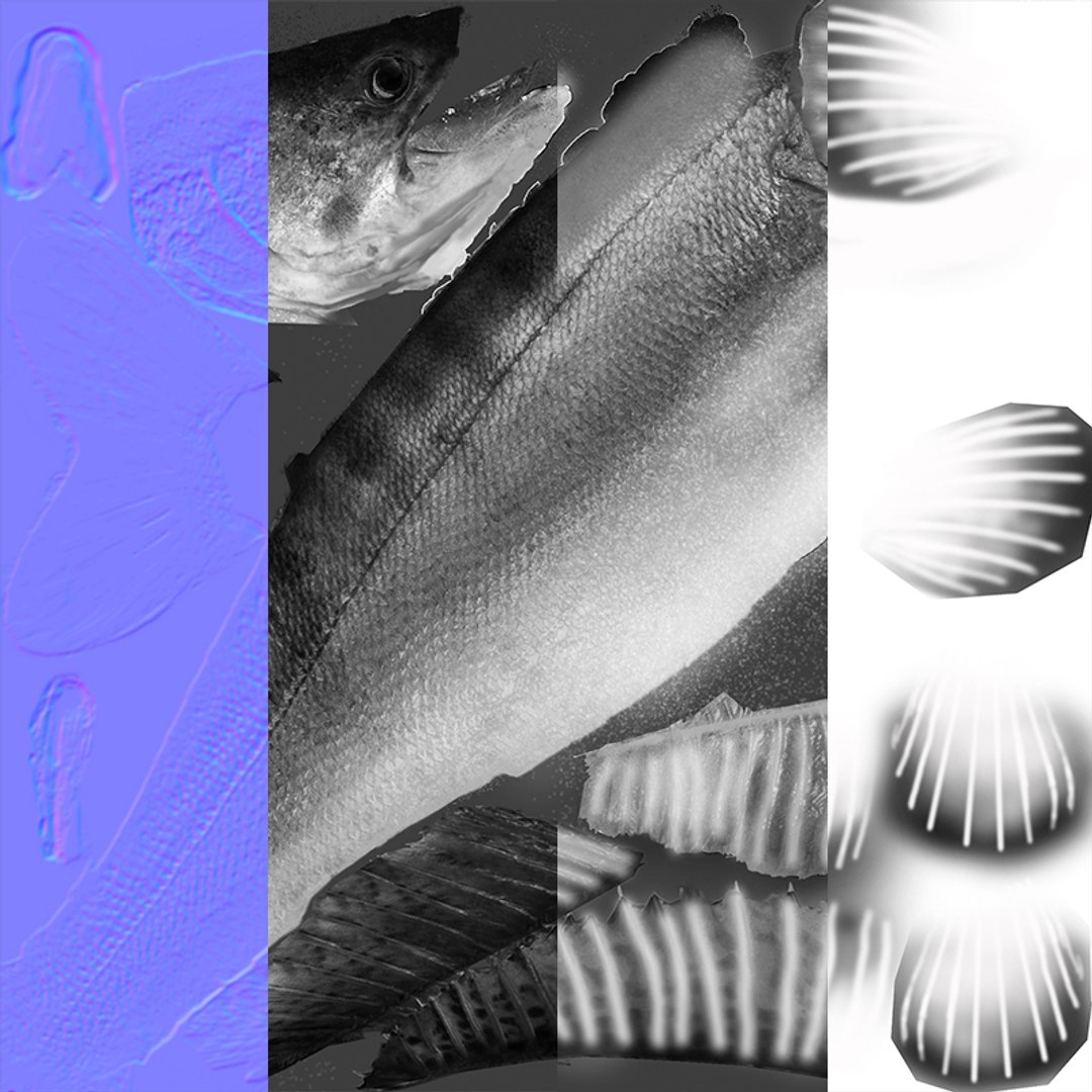 3d model zander fish animation