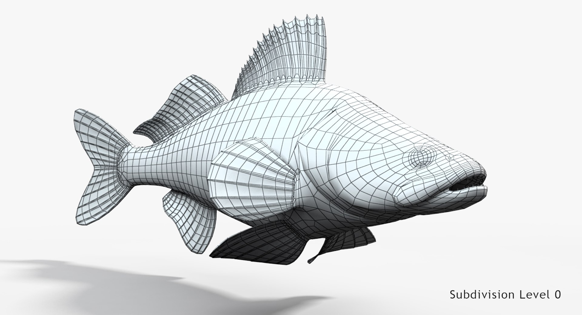 3d model zander fish animation