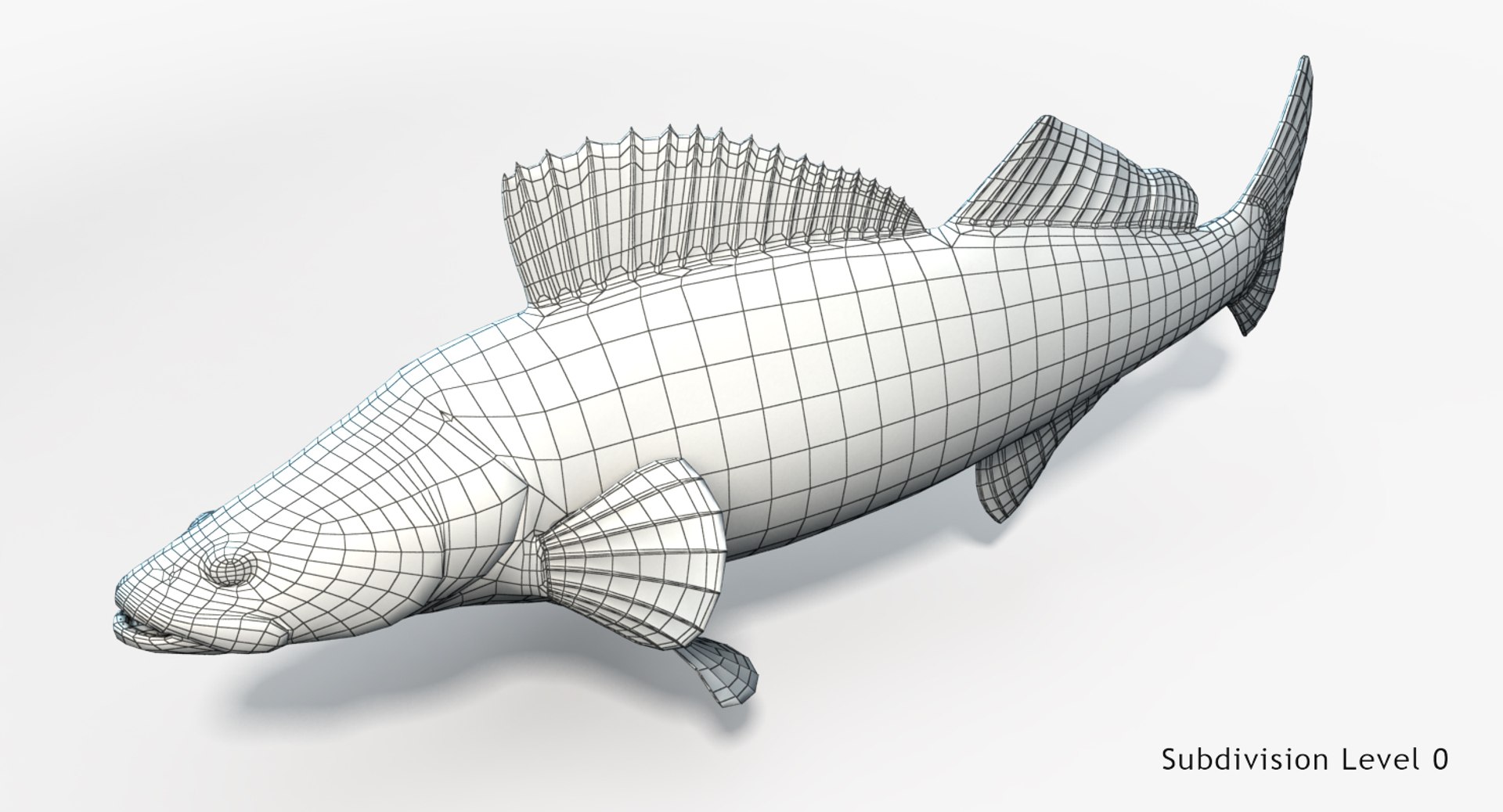 3d model zander fish animation