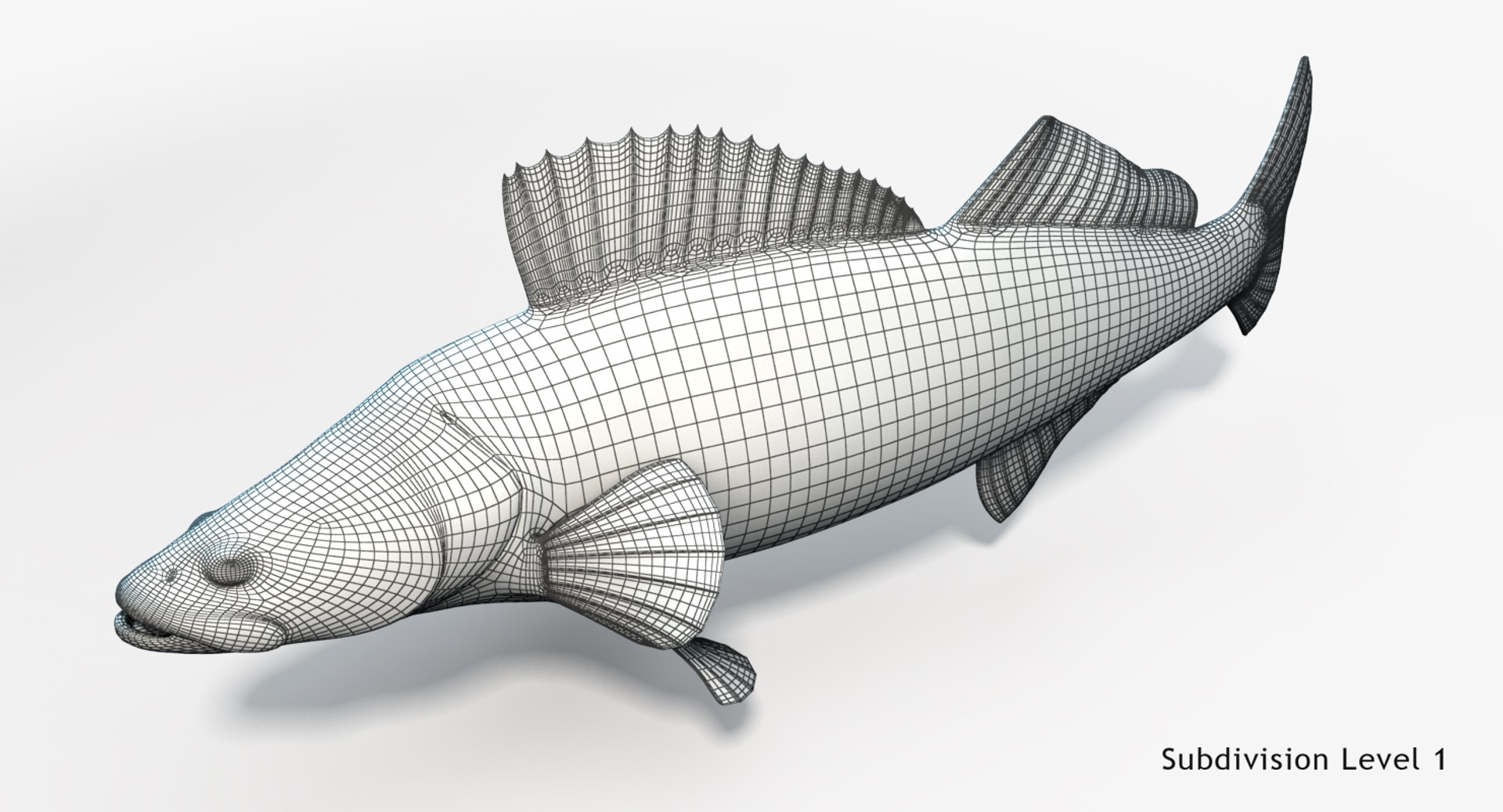 3d model zander fish animation