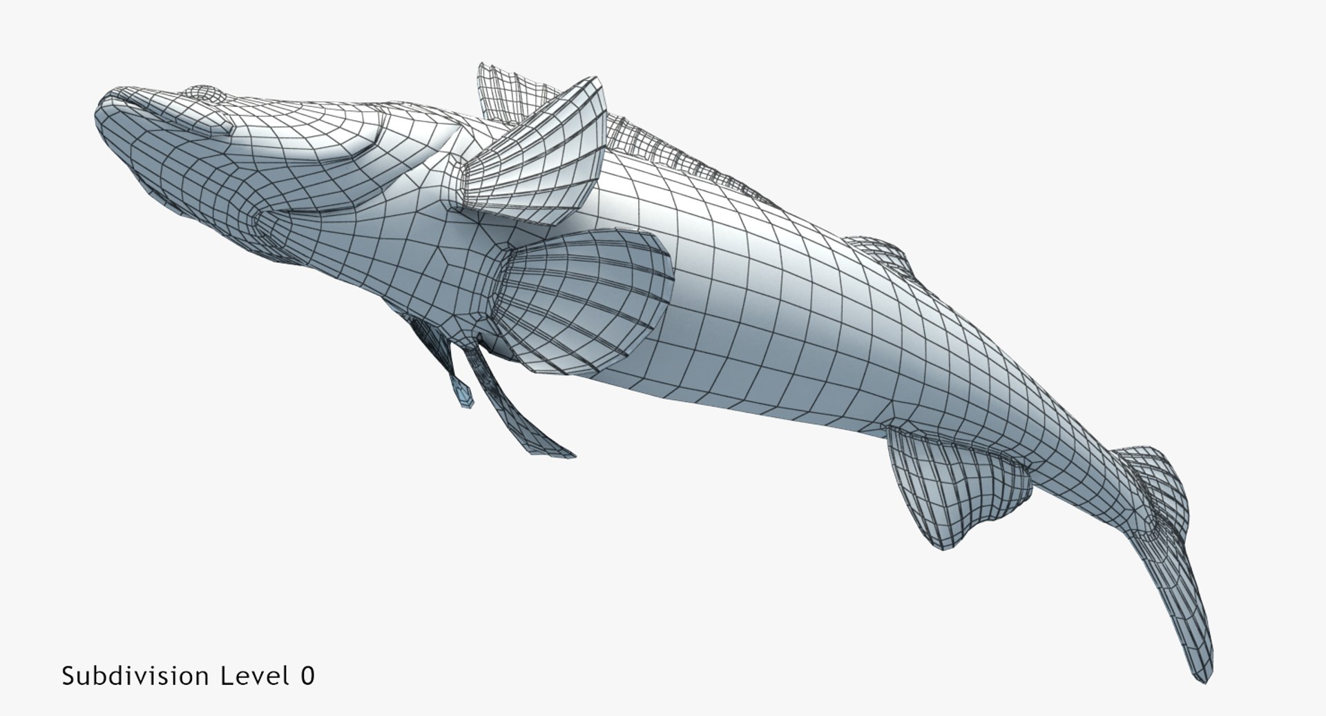 3d model zander fish animation