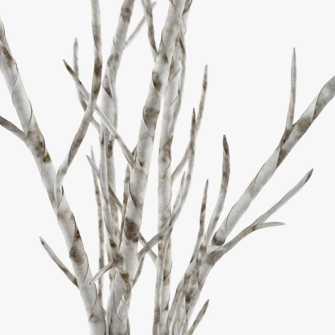 Bunch Paper Branches Decoration 3D - TurboSquid 1656572
