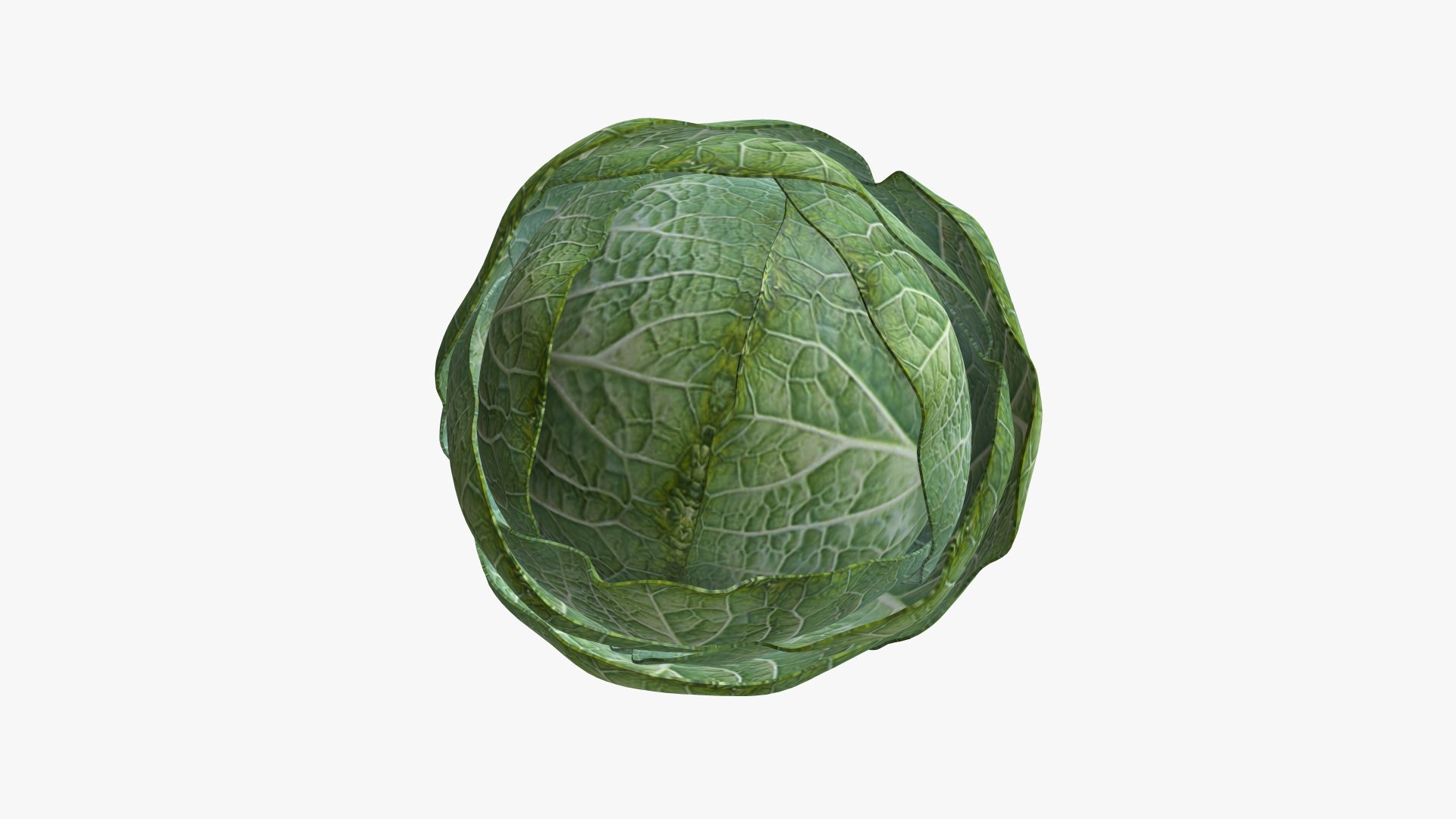 VEG-001 Cabbage 3D model - TurboSquid 1990878