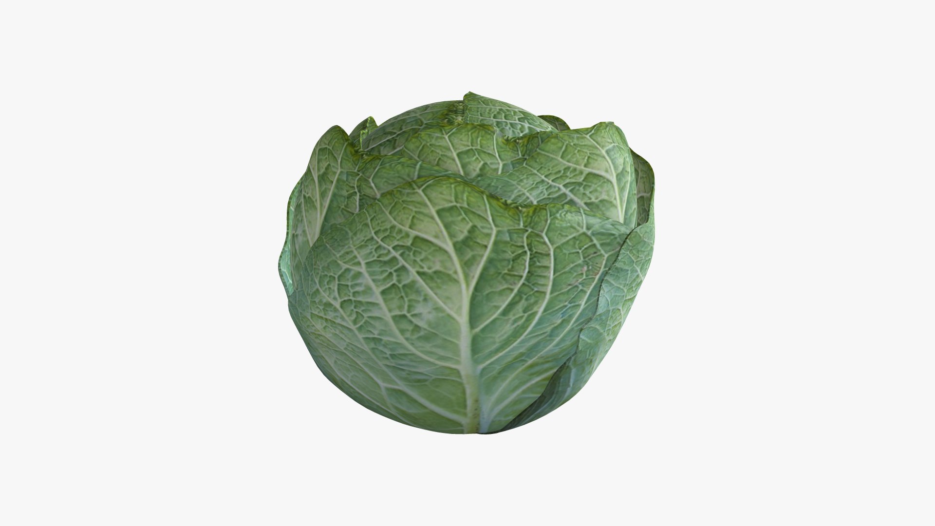 VEG-001 Cabbage 3D model - TurboSquid 1990878