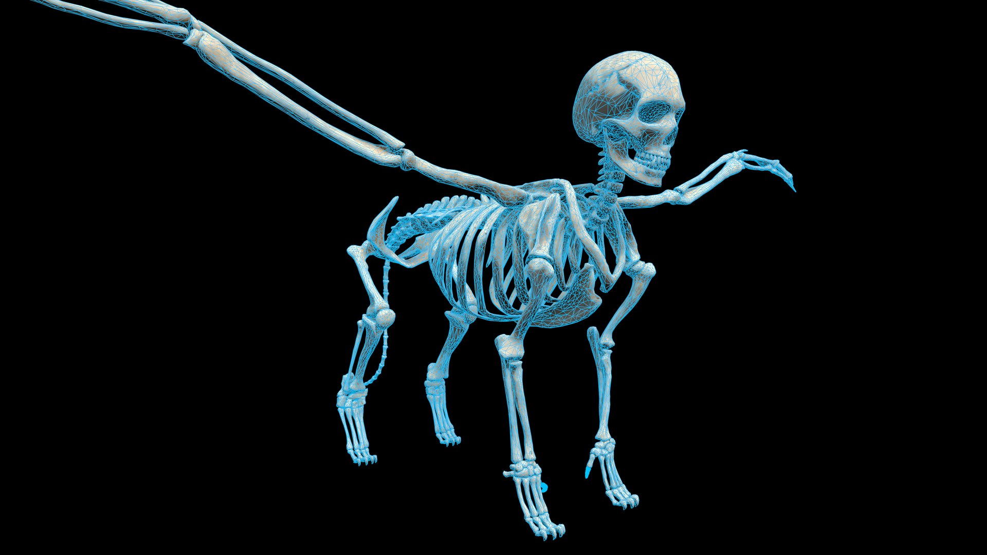 Mythological Bone Sphinx 3d Obj