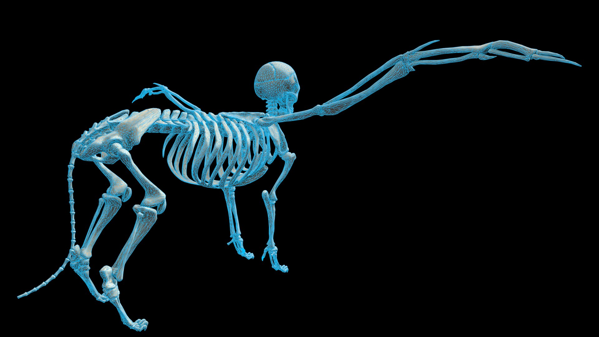 Mythological Bone Sphinx 3d Obj