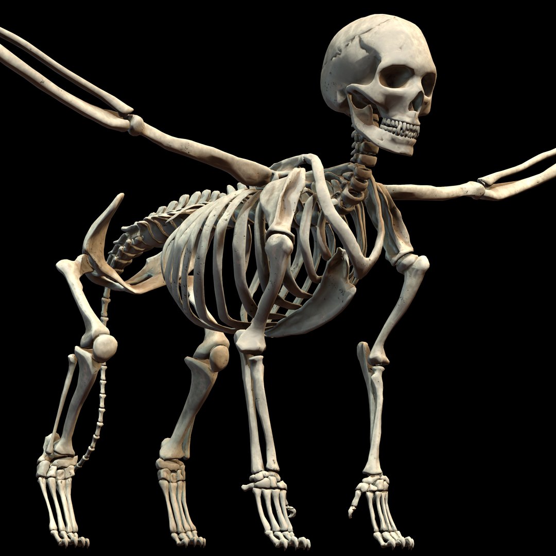 Mythological Bone Sphinx 3d Obj