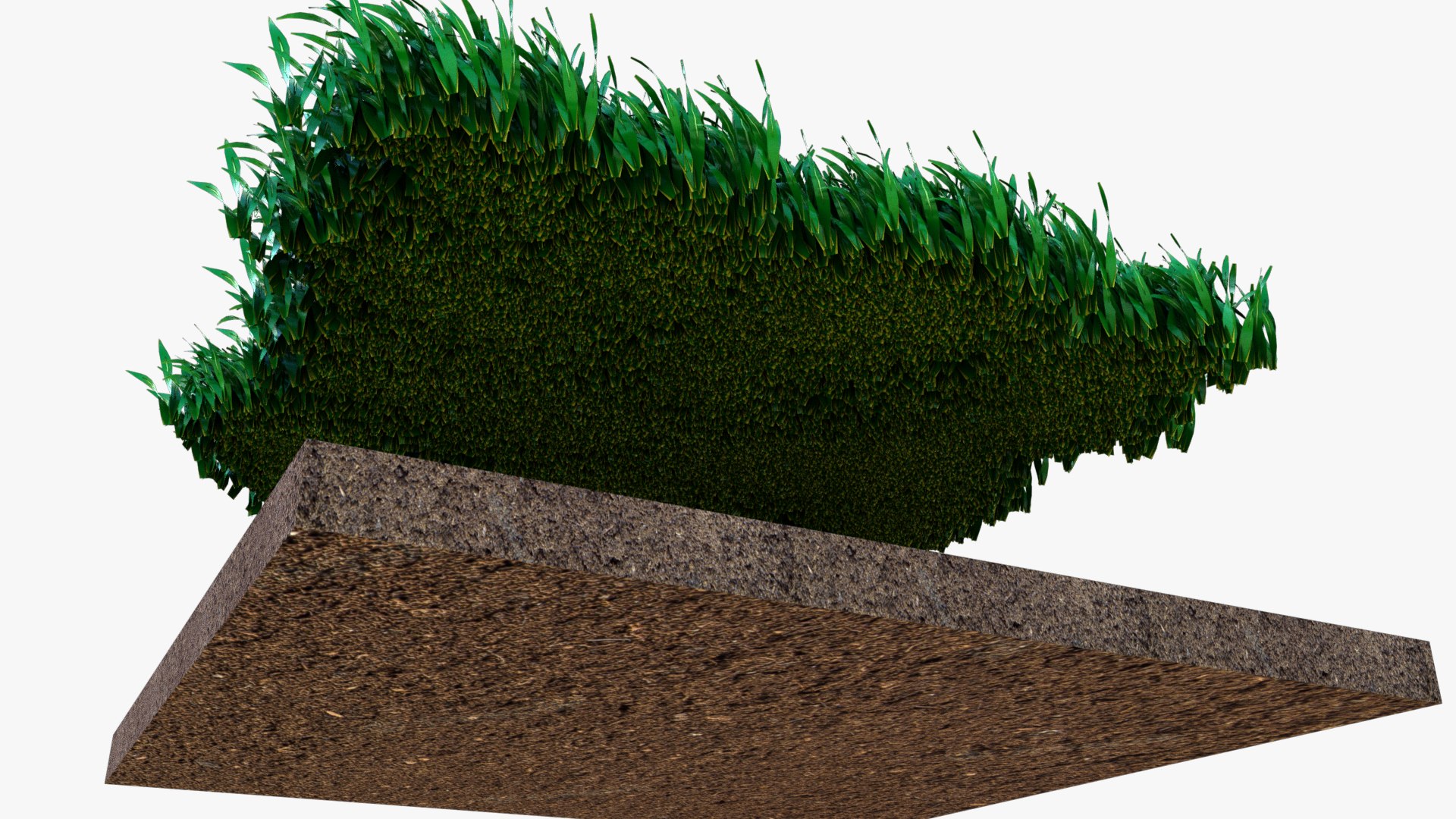 3D Model Field Carpet Grass - TurboSquid 1995461