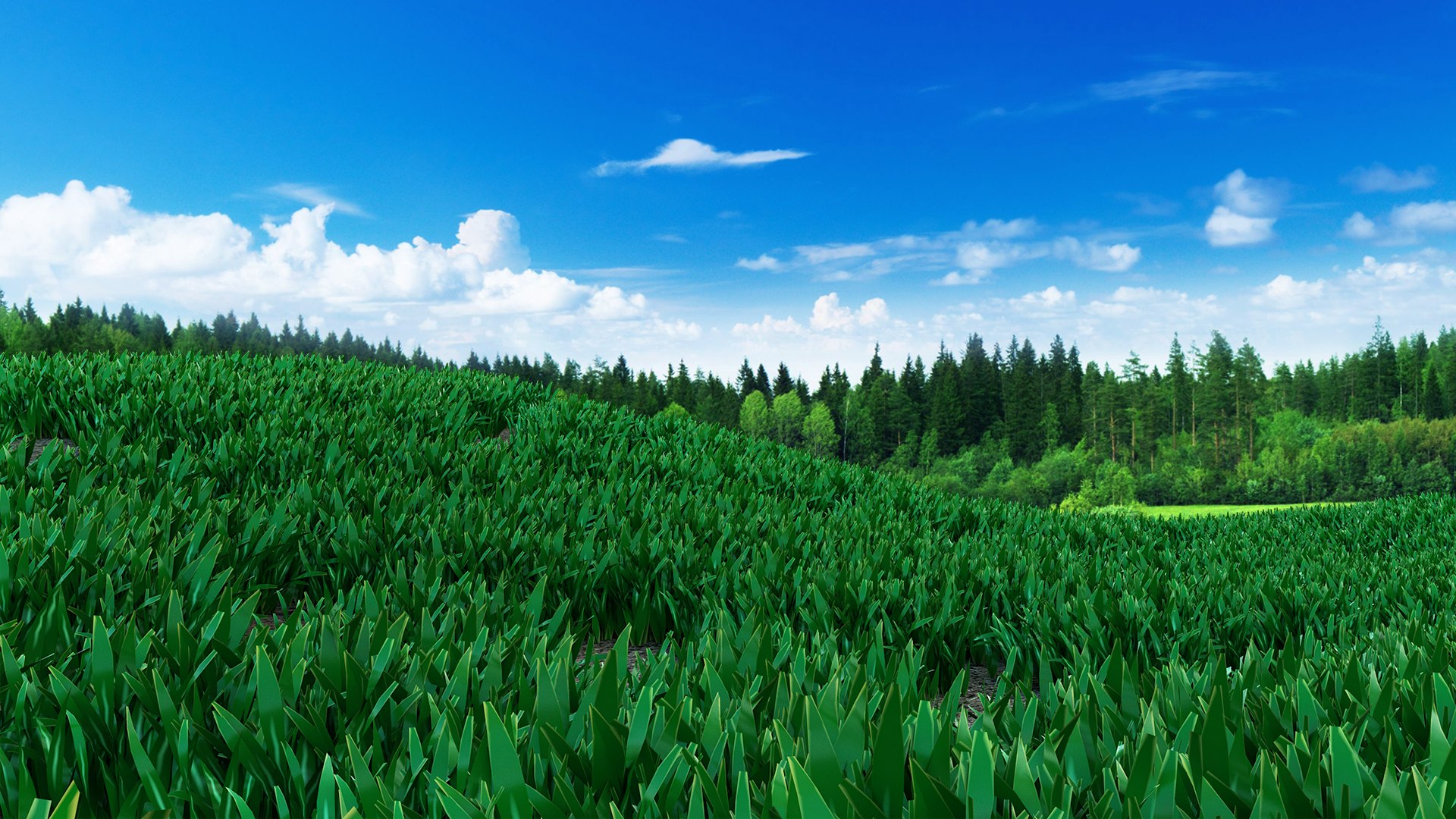 3D Model Field Carpet Grass - TurboSquid 1995461