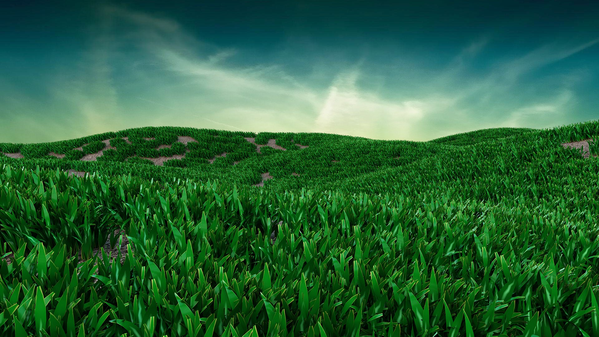 3D Model Field Carpet Grass - TurboSquid 1995461