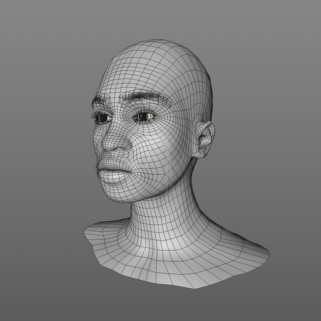 3D Realistic Head Base Mesh - TurboSquid 1438318