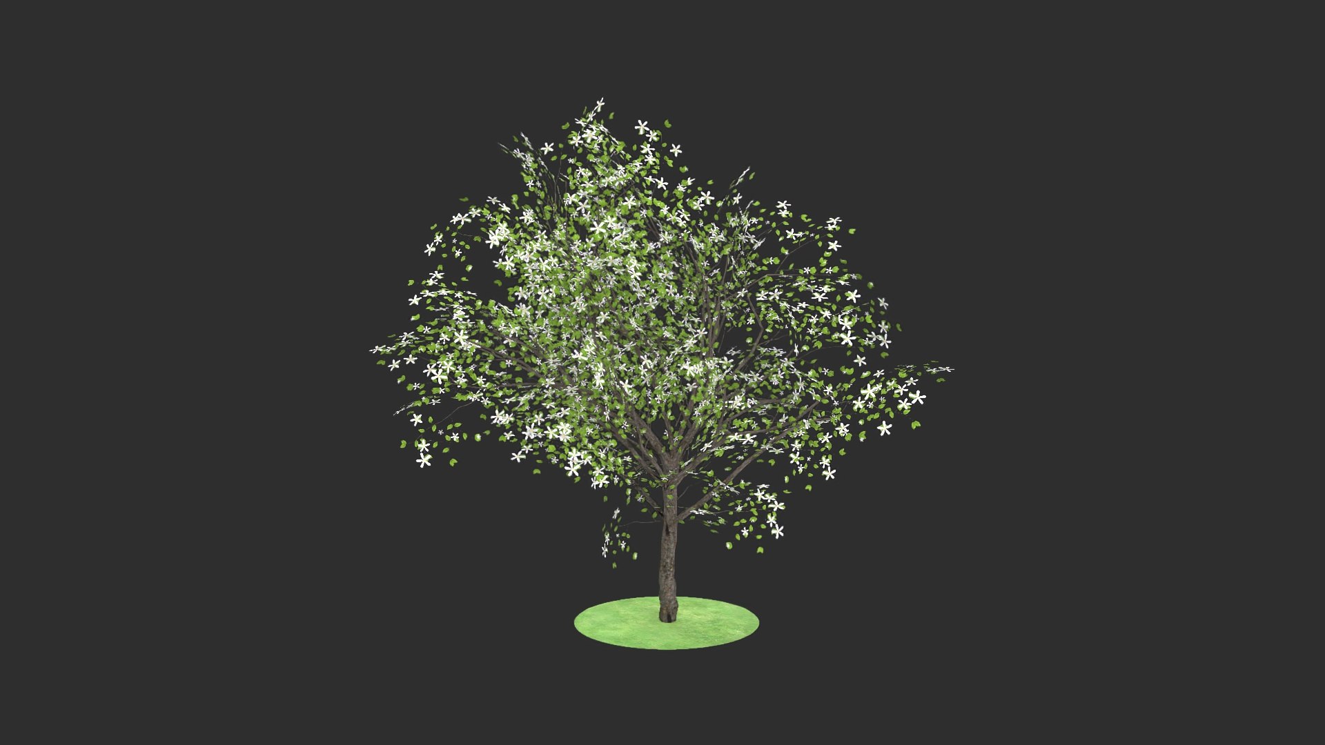 Orange flowers 3D model - TurboSquid 1620462