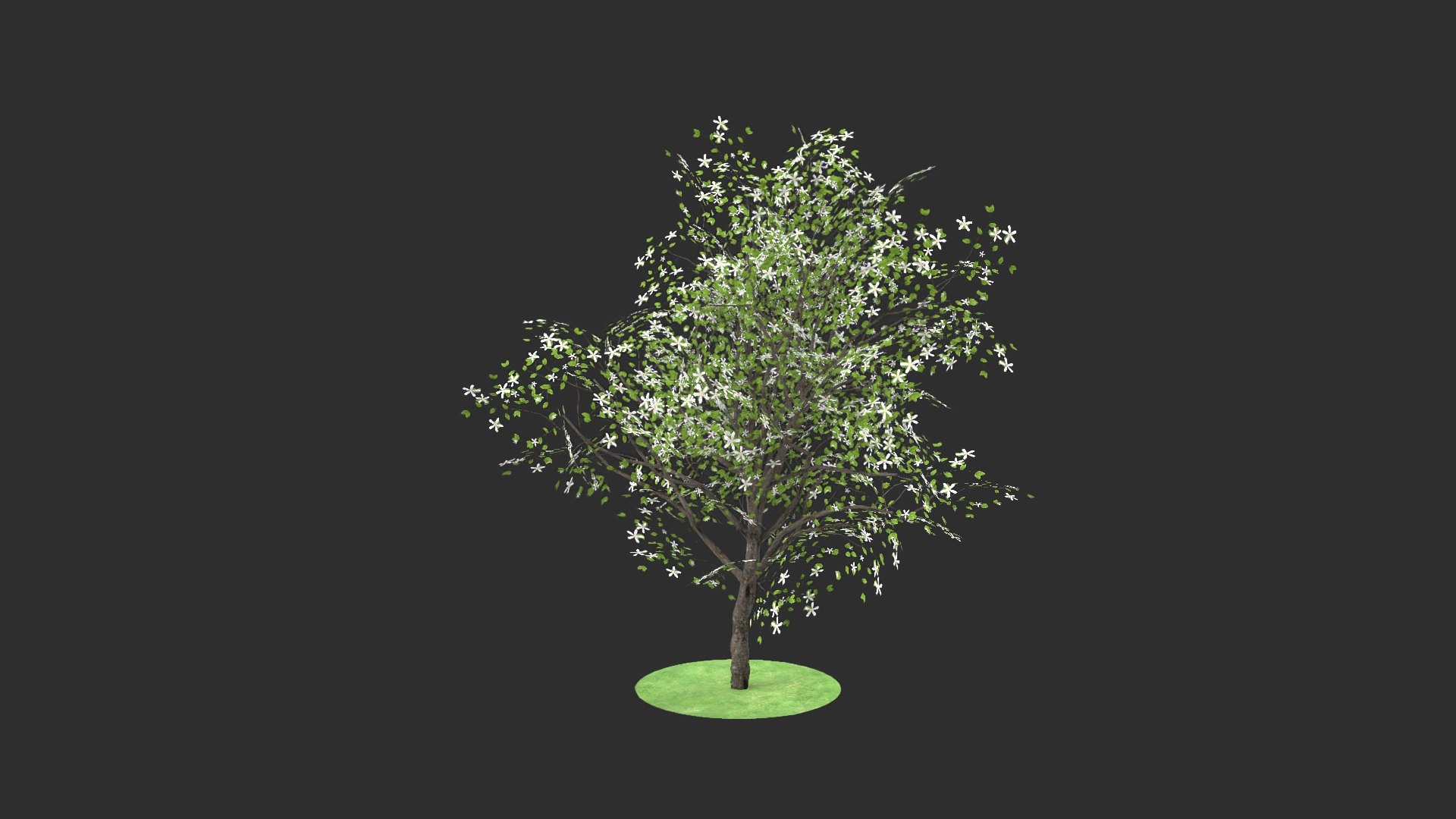 Orange flowers 3D model - TurboSquid 1620462