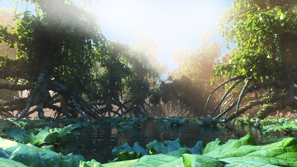 max mangrove forest ultra hd