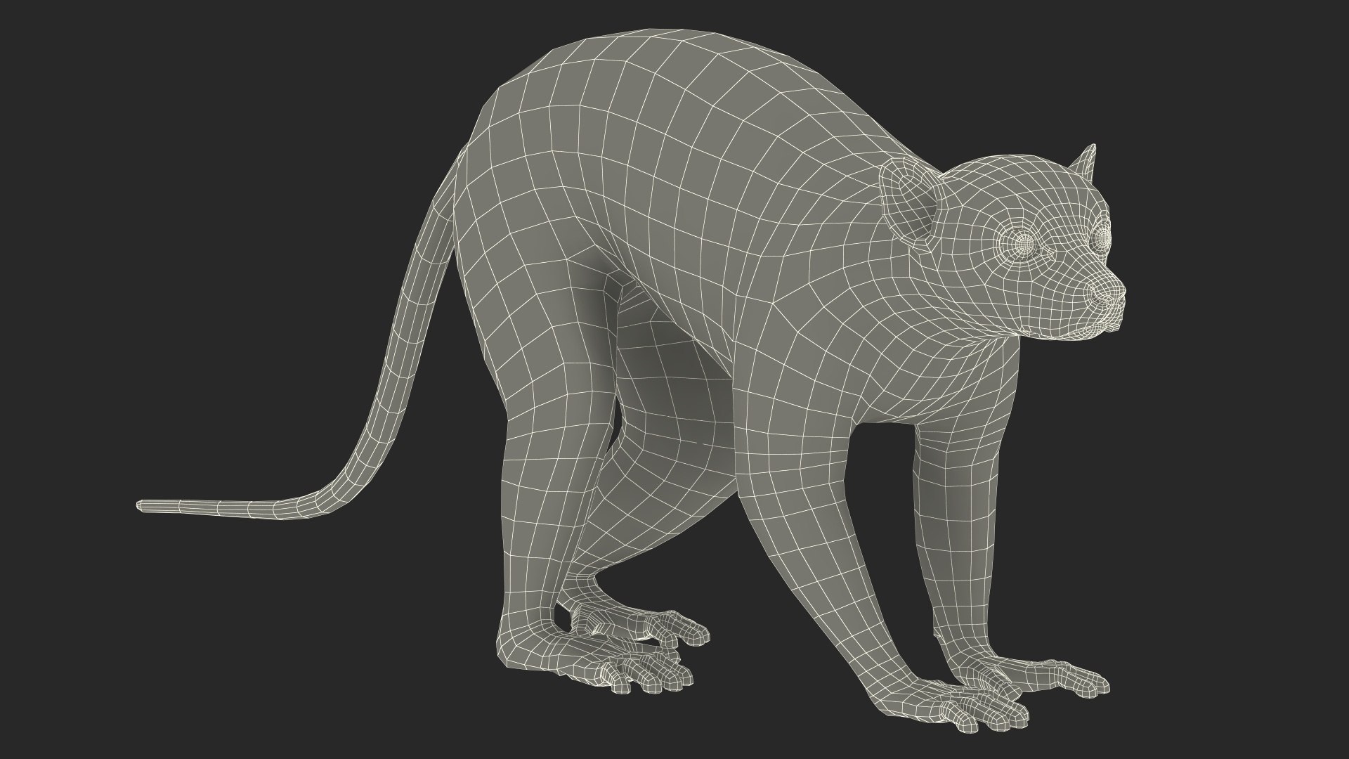 Grey Lemur Walking 3D Model - TurboSquid 2197400