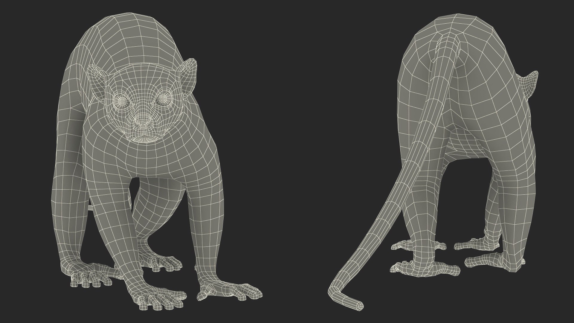 Grey Lemur Walking 3D Model - TurboSquid 2197400