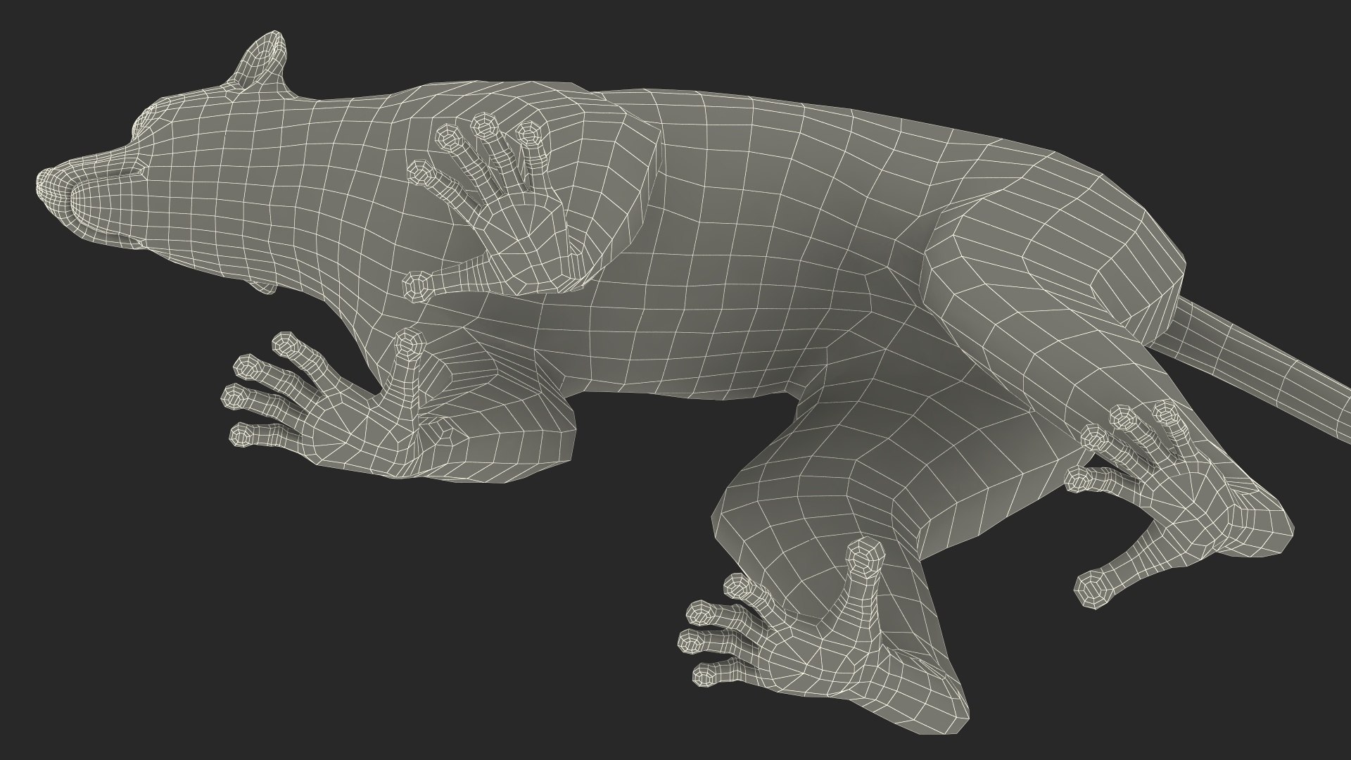 Grey Lemur Walking 3D Model - TurboSquid 2197400