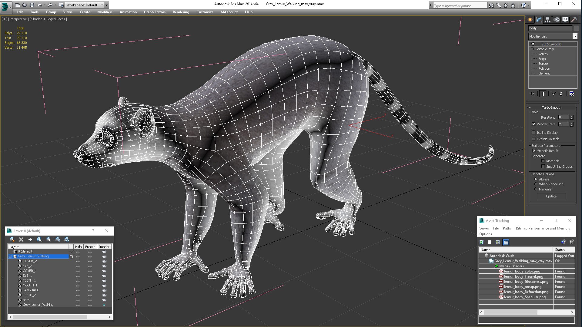 Grey Lemur Walking 3D Model - TurboSquid 2197400