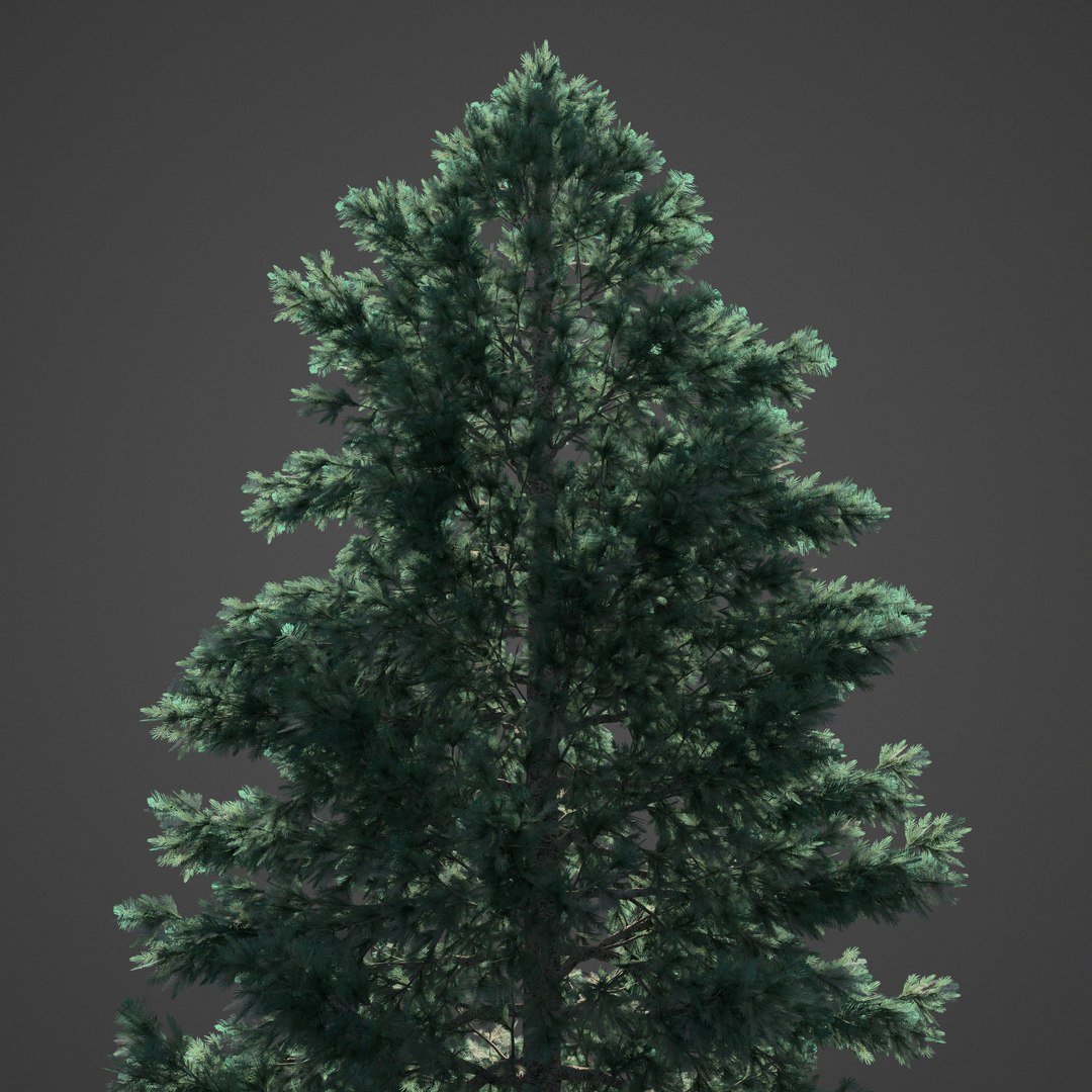 Free Tree 3D Model - TurboSquid 1675181