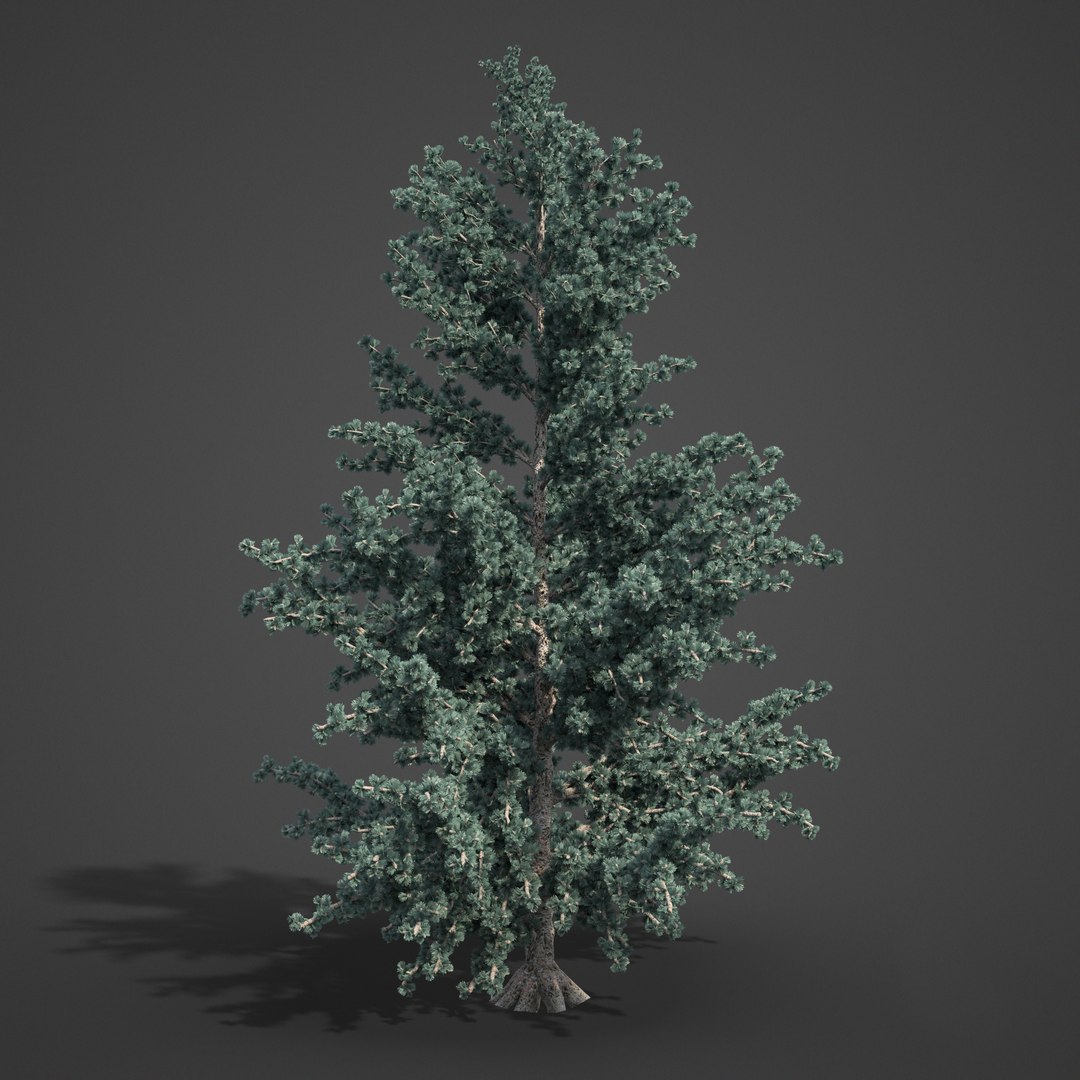 Free Tree 3D Model - TurboSquid 1675181
