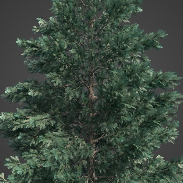 Free Blender Tree Models | TurboSquid
