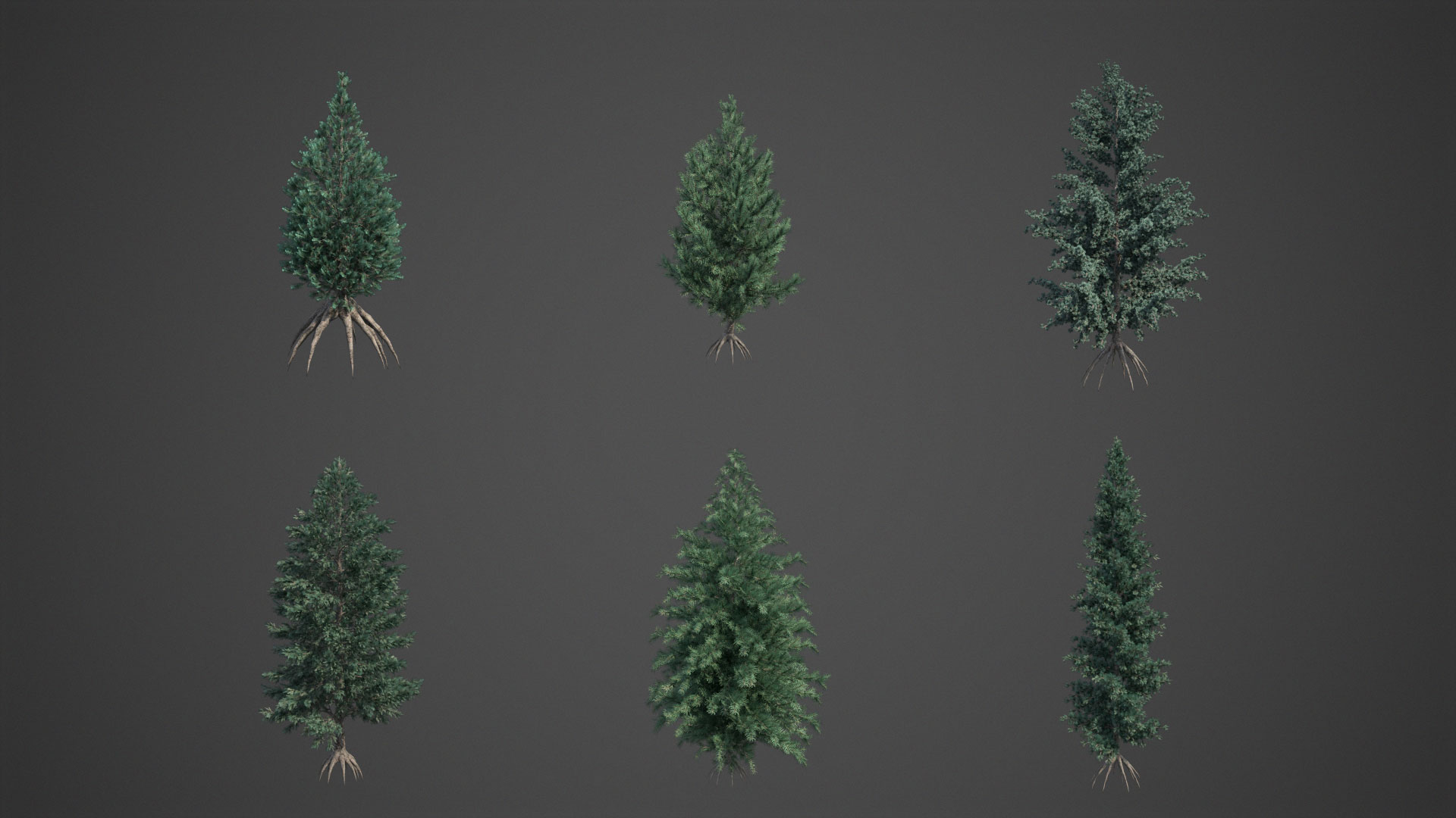 Free Tree 3D Model - TurboSquid 1675181