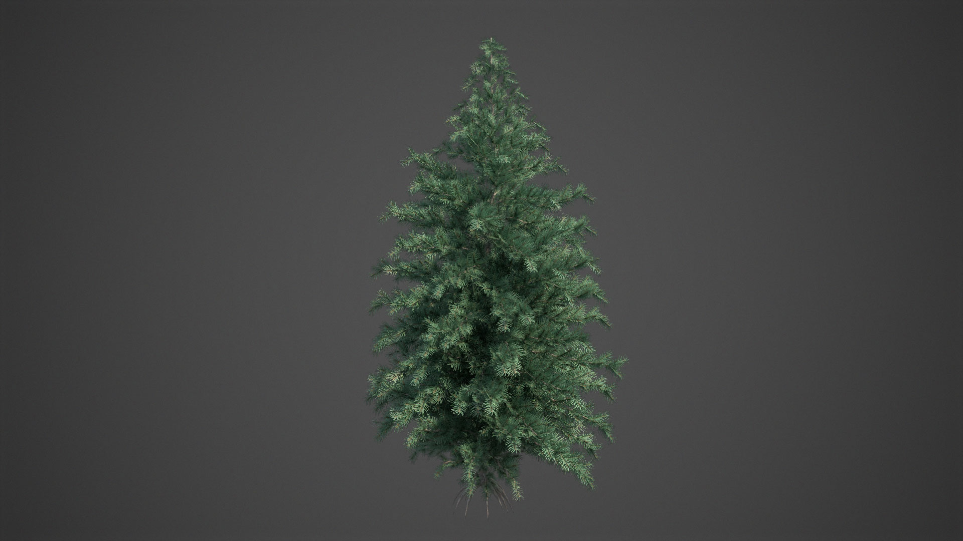Free Tree 3D Model - TurboSquid 1675181