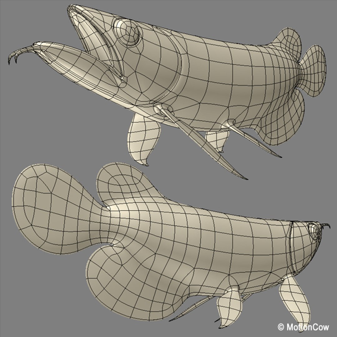 Lightwave Arowana Fish