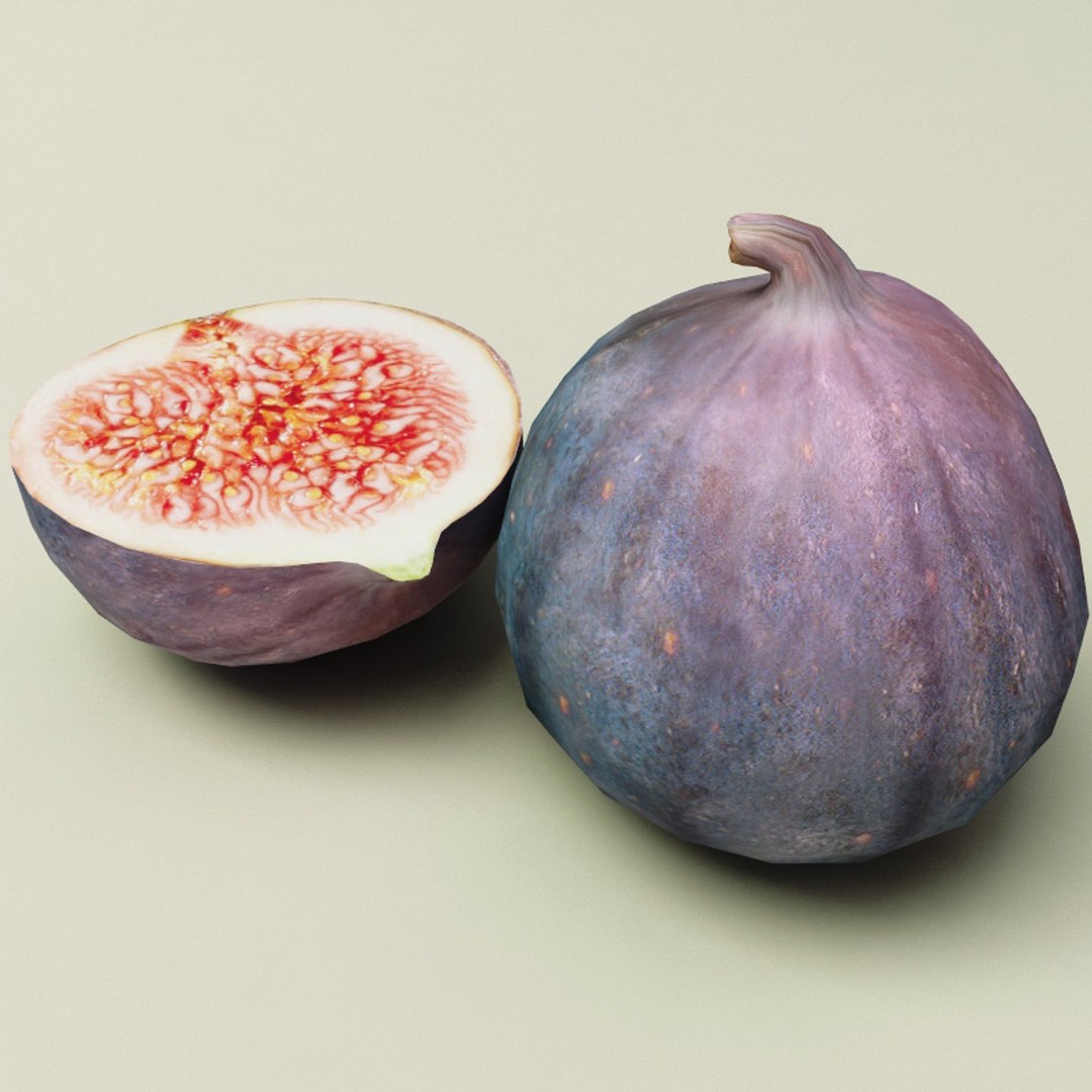 Figs Modelled 3d 3ds