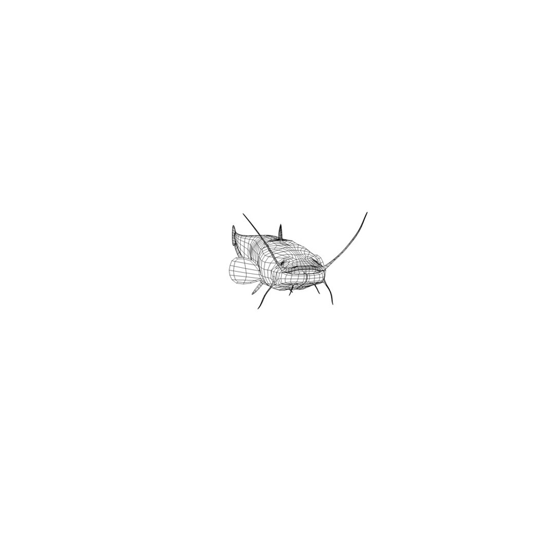 Realistic Wels Catfish 3d Model