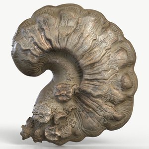 Free 3D Cnc-Relief Models | TurboSquid