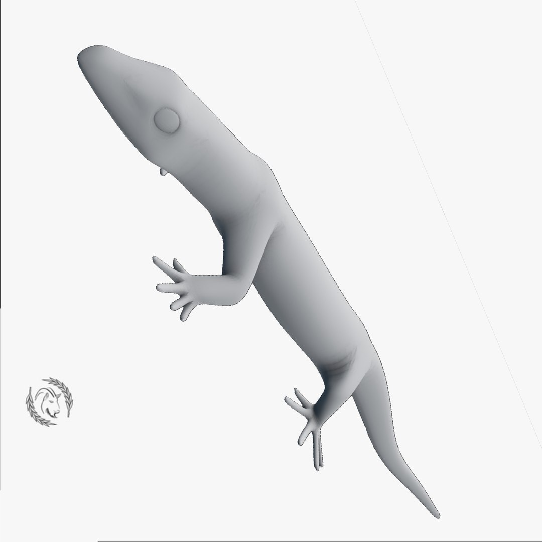 Free 3D Base Lizard - TurboSquid 1216093