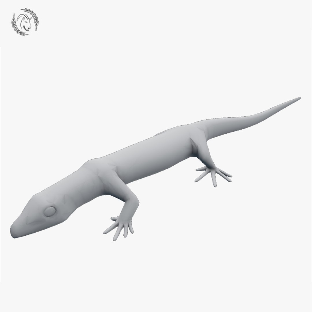 Free 3D Base Lizard - TurboSquid 1216093