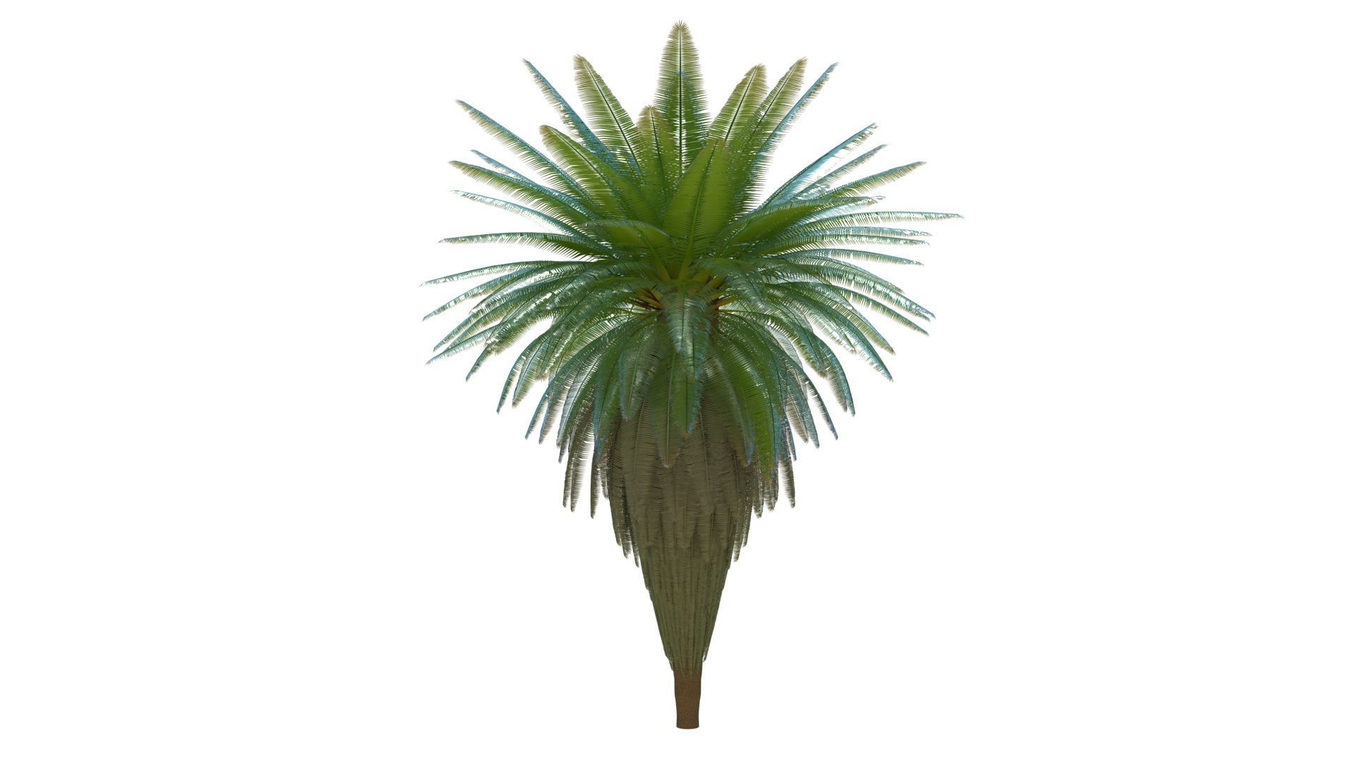 Palm Tree Natural 3D Model - TurboSquid 1335621