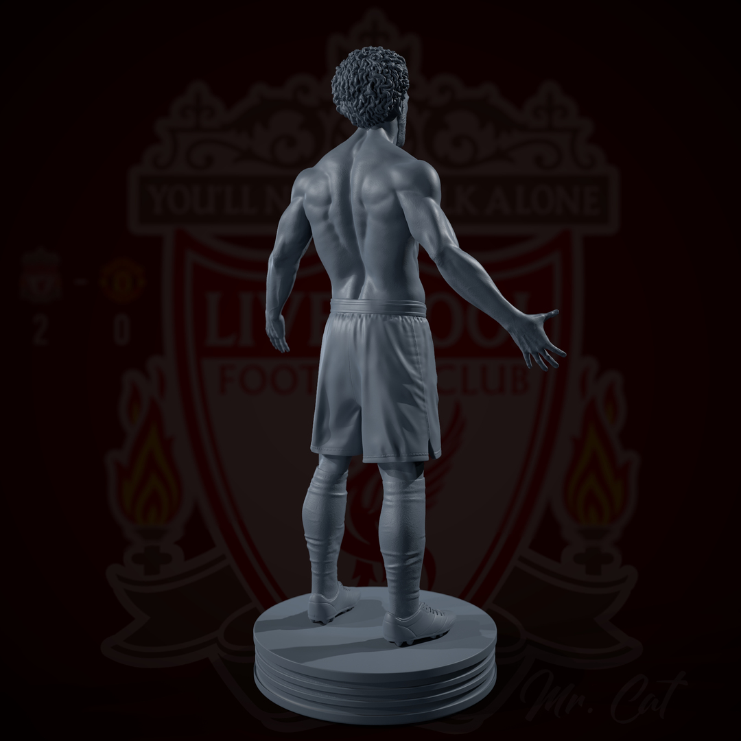 3D salah mo print model - TurboSquid 1682872