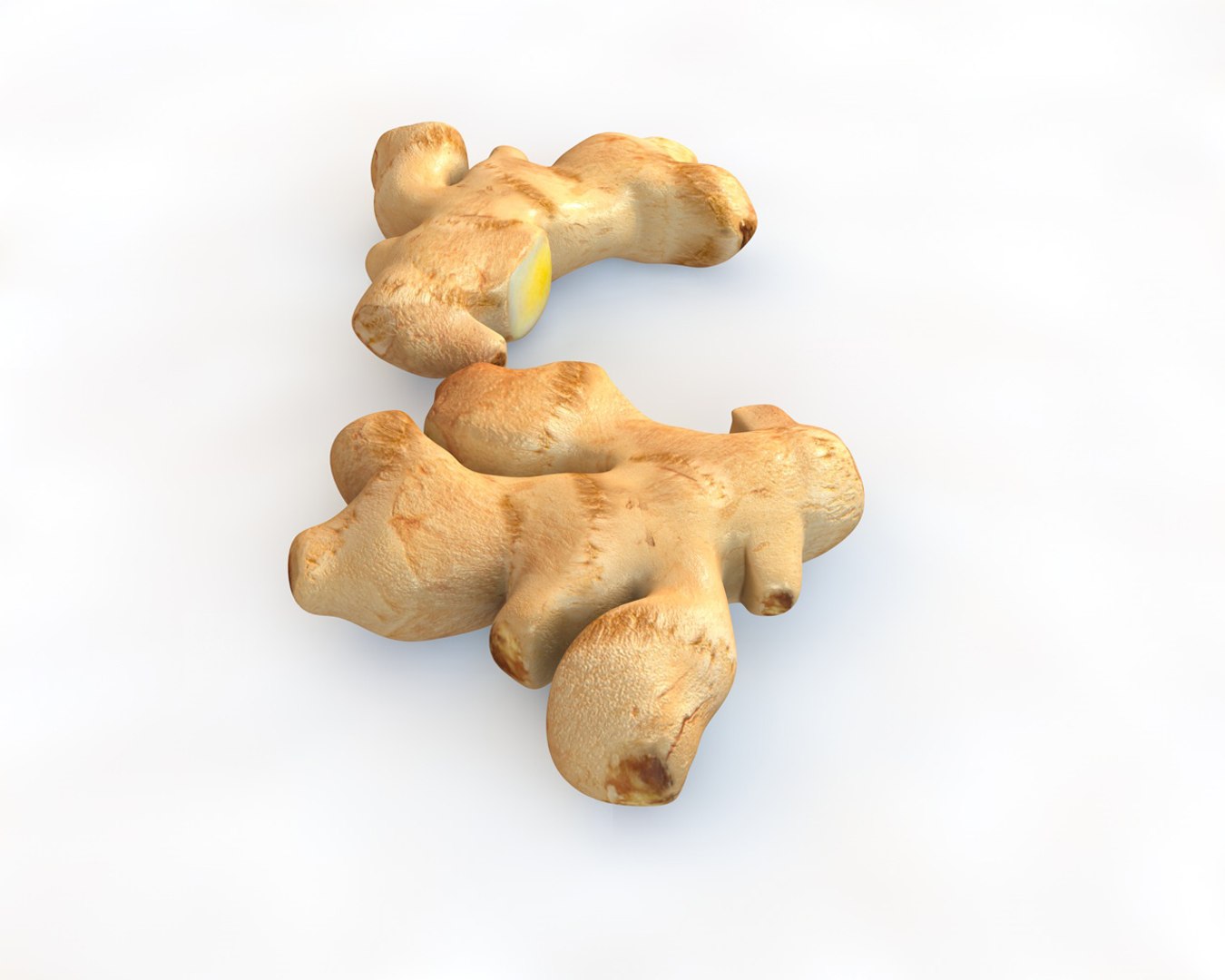 3D Ginger Model - TurboSquid 1544532