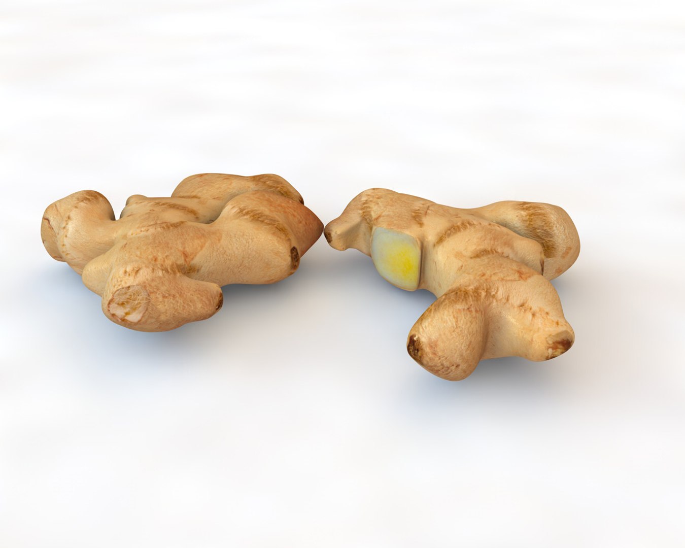 3D Ginger Model - TurboSquid 1544532