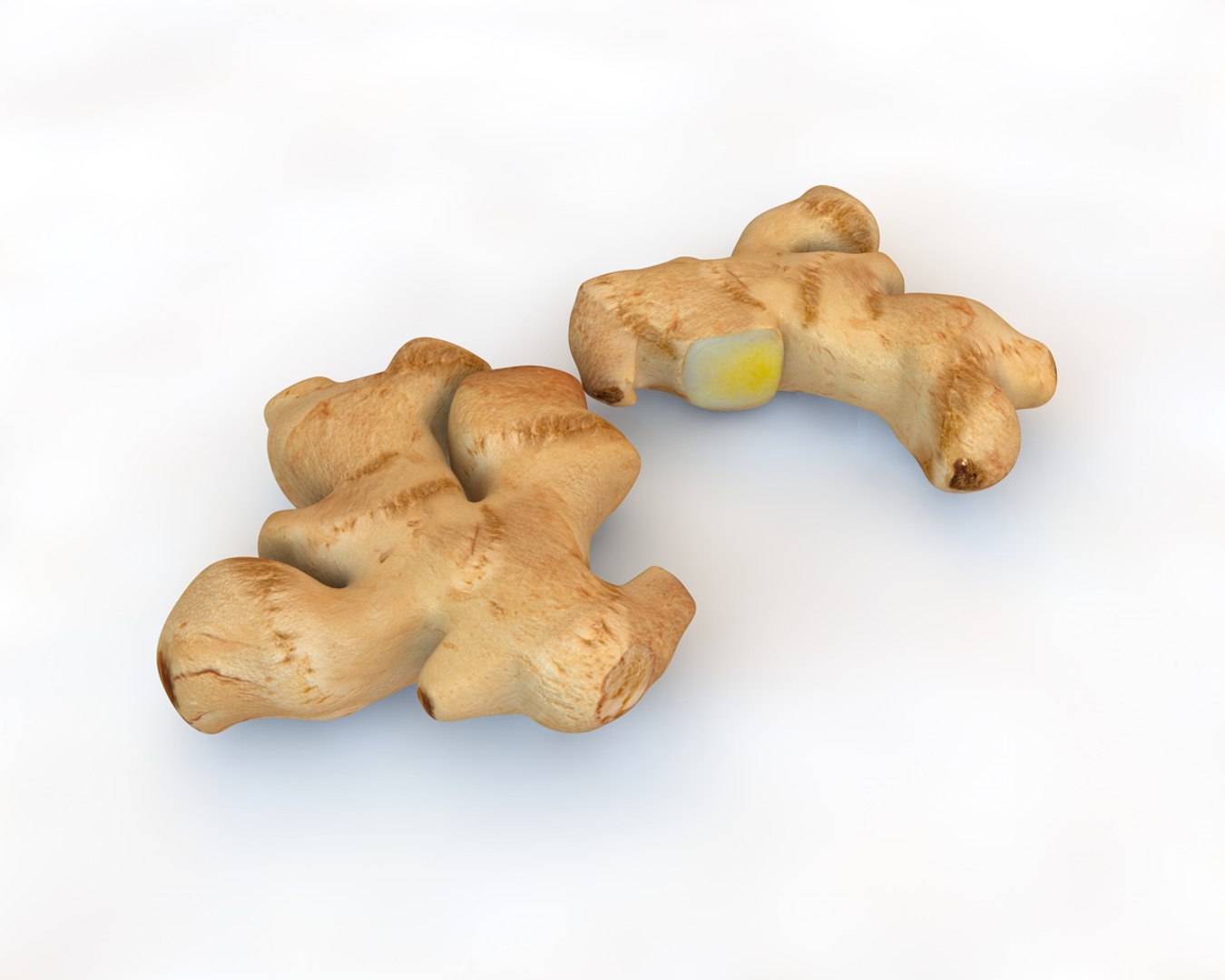 3D ginger model - TurboSquid 1544532