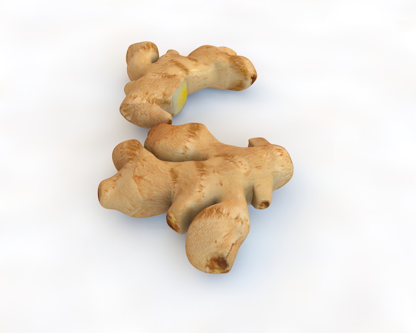 3D Ginger Model - TurboSquid 1544532