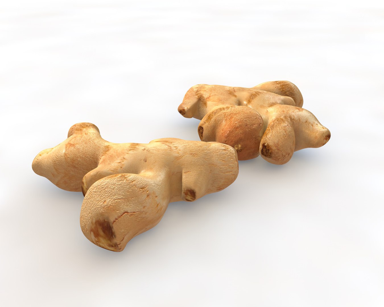 3D Ginger Model - TurboSquid 1544532