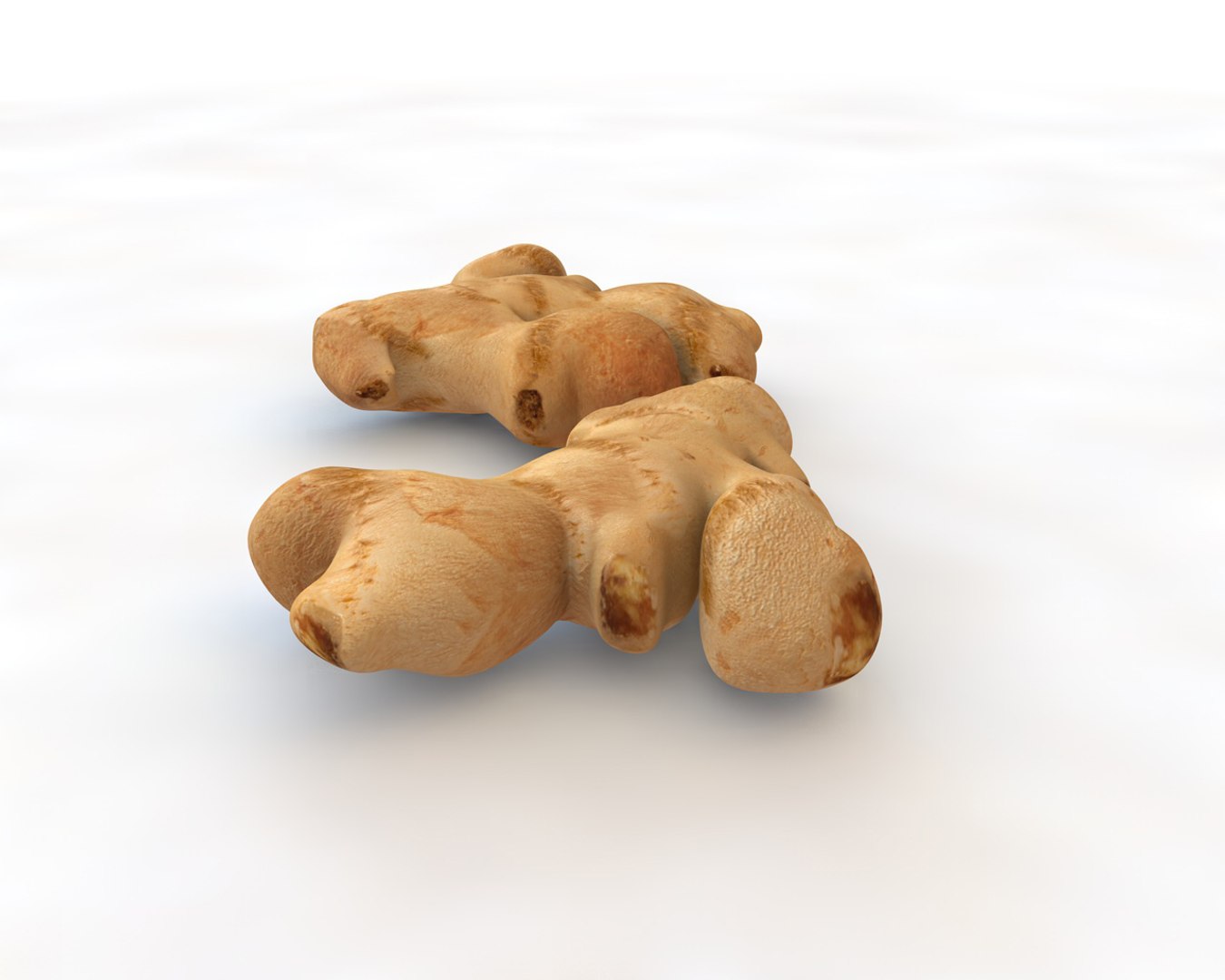 3D Ginger Model - TurboSquid 1544532